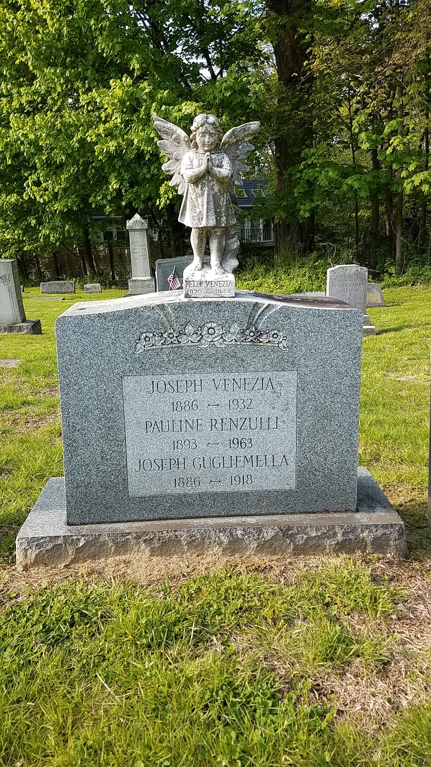 STAFF SERGEANT PETER JOSEPH VENEZIA; U.S. ARMY AIR FORCE – Honor ...