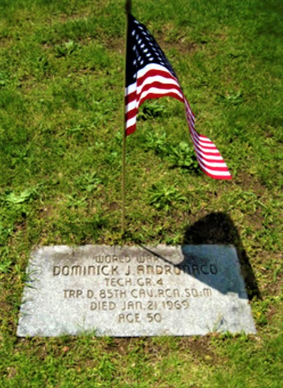 TECHNICIAN GRADE 4 DOMINICK JOSEPH ANDRONACO; U.S. ARMY – Honor Norwalk ...