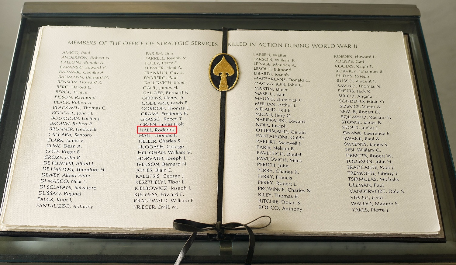 CAPTAIN RODERICK STEPHEN GOODSPEED “STEVE” HALL; U.S. ARMY – Honor ...